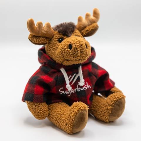 Resort Skiing - Vermont Ski Resorts | Sugarbush Resort